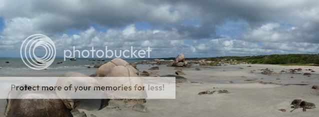 Cape York Peninsula, Queensland - Part 1 of 1 - Field Herp Forum